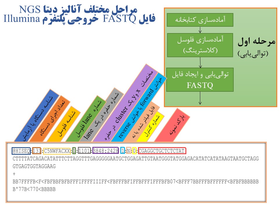 3 مرحله آنالیز دیتای NGS - آکادمی NGS